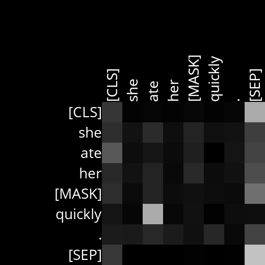 Attention - CSCI E-80